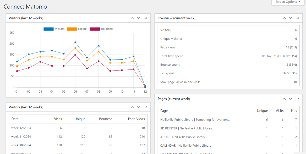 Connect Matomo Dashboard | LibWin Website Training
