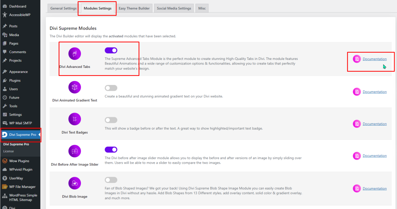 Divi Supreme Pro | LibWin Website Training